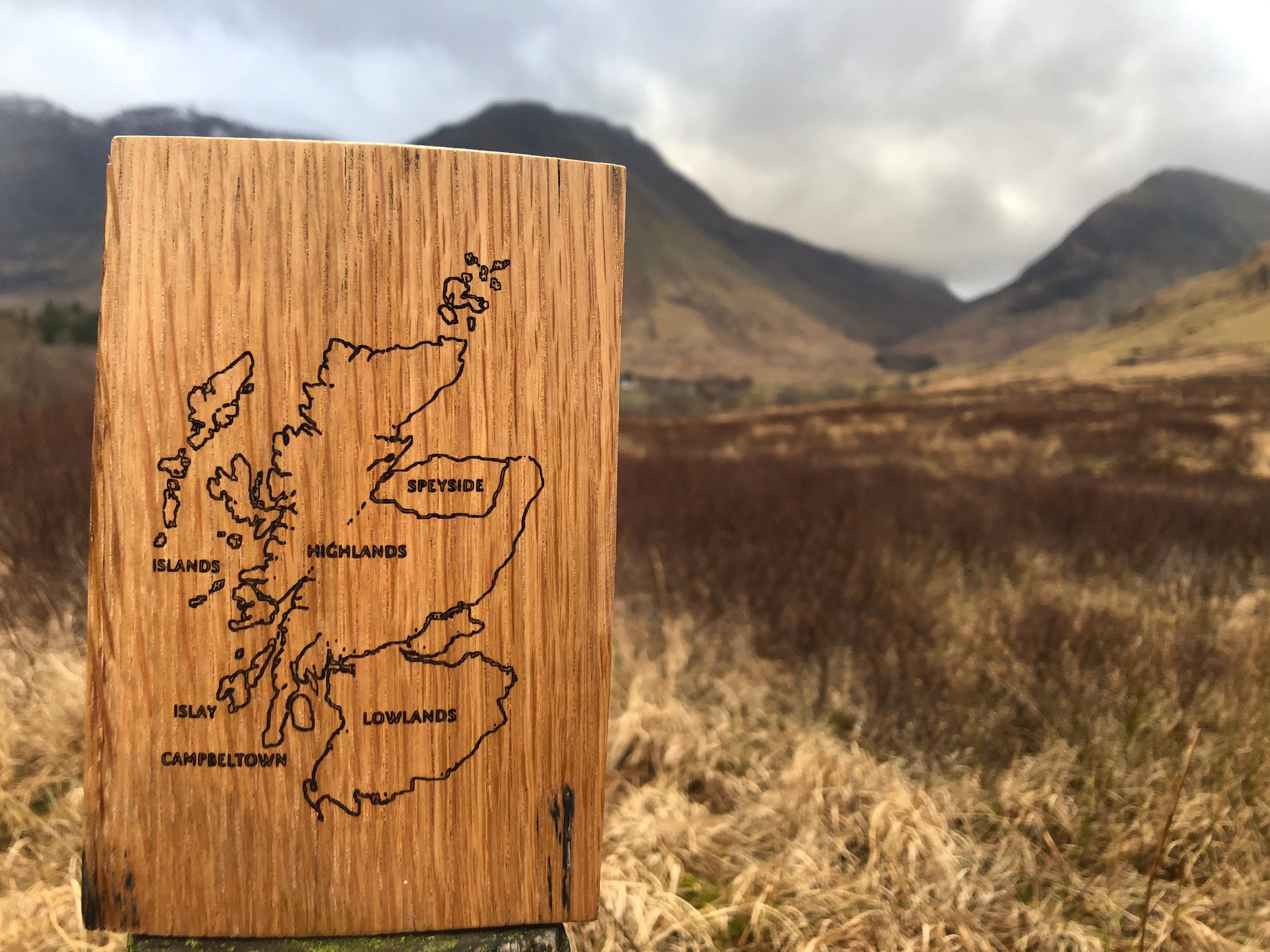 Malt Scotch Regions Map Plaque / Ornament. Solid Oak. Scottish - Etsy