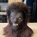 Wolfman Collectors Mask Prop Replica - Etsy