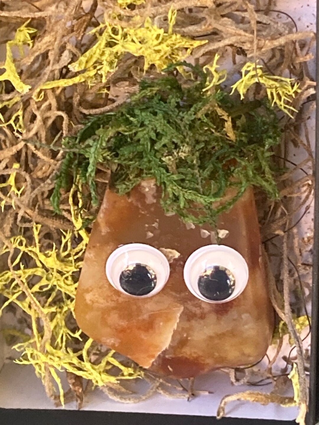Rock in A Box! - Etsy