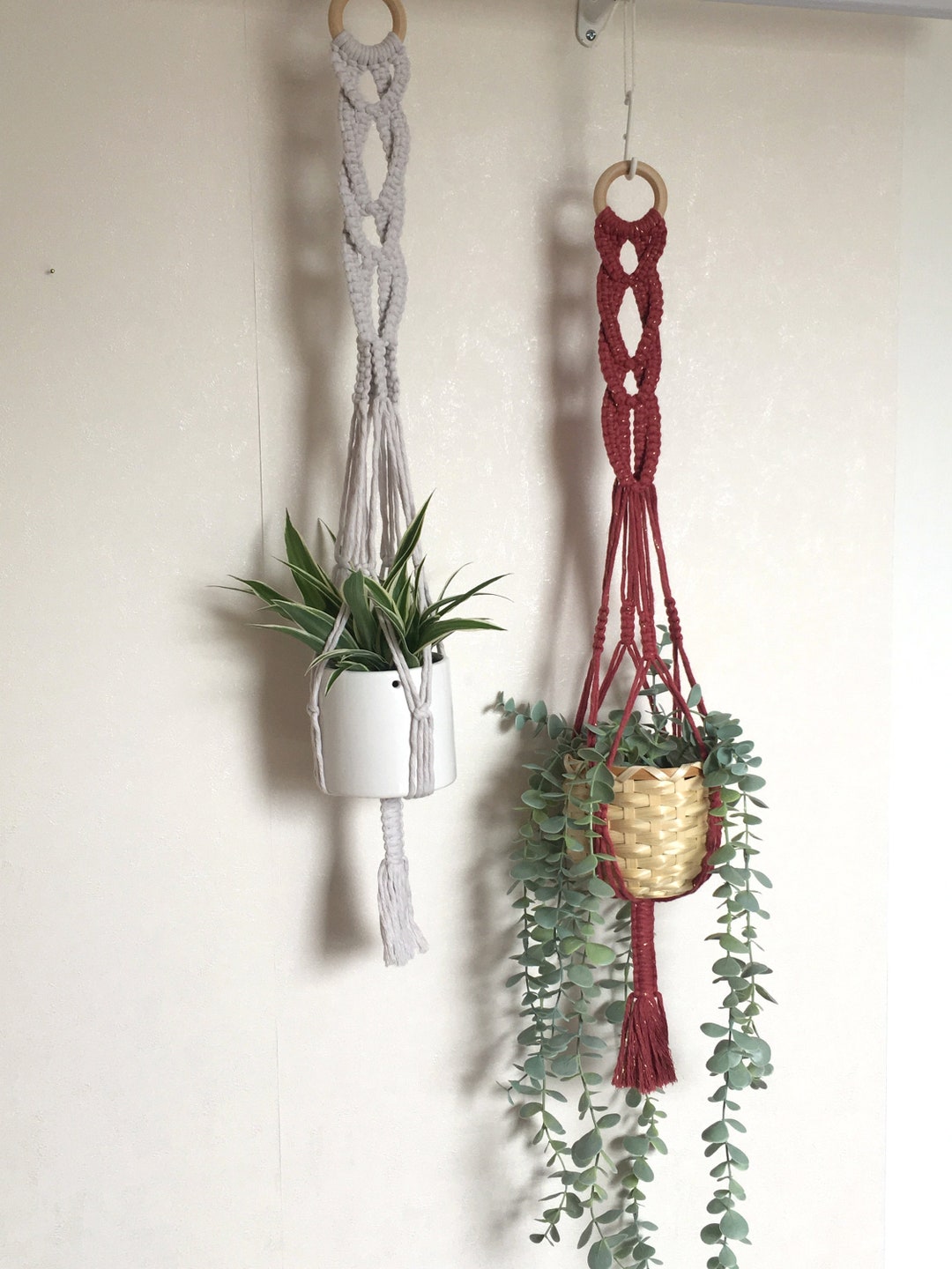 Suspension Macramé Hook Twisted Plants Various Colors - Etsy