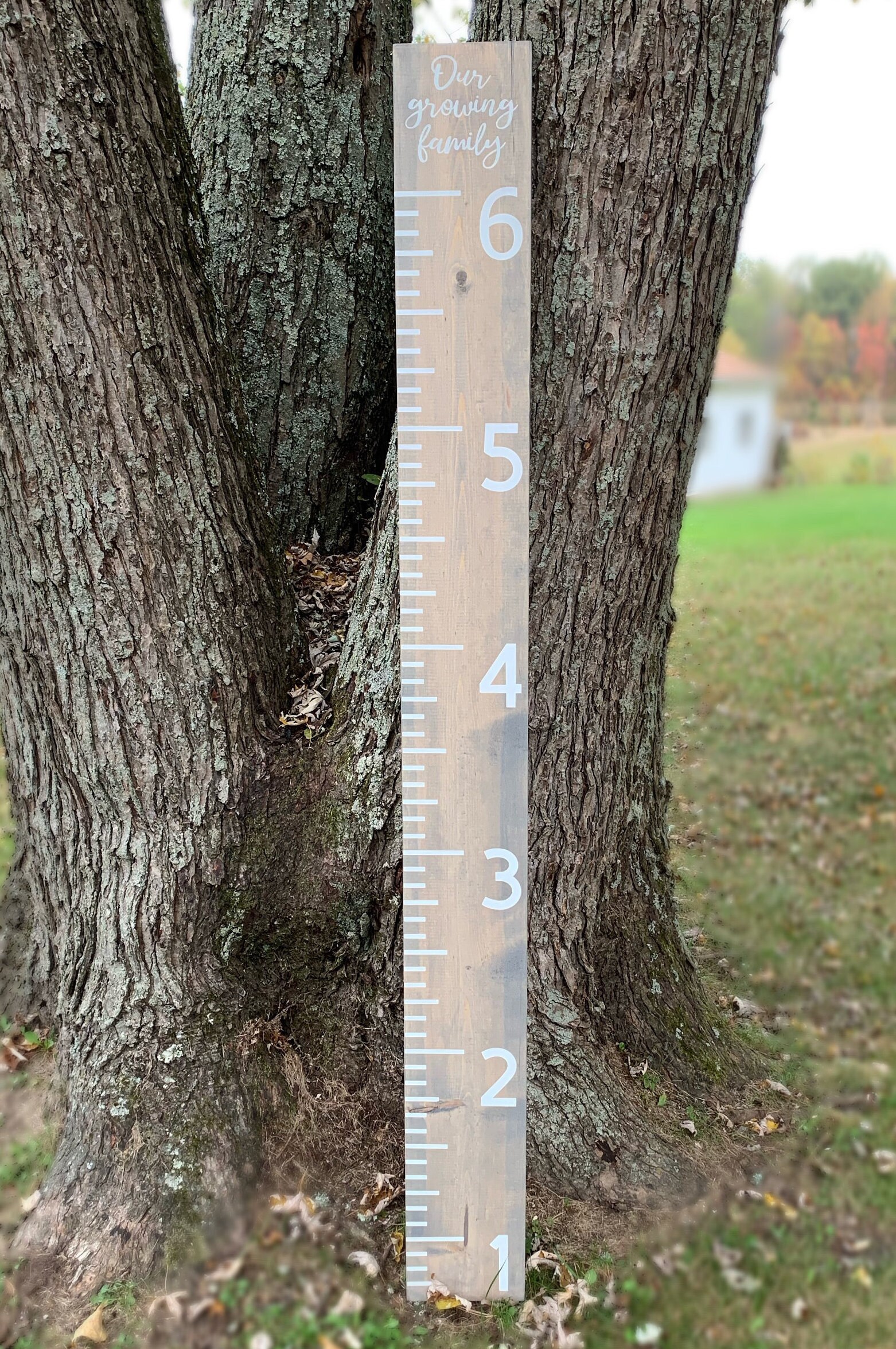 Wood Growth Chart Growth Ruler Baby Shower Gift Height | Etsy