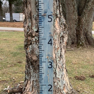 Wood Growth Chart | Growth Chart Ruler | Baby Shower Gift | Giant Ruler ...