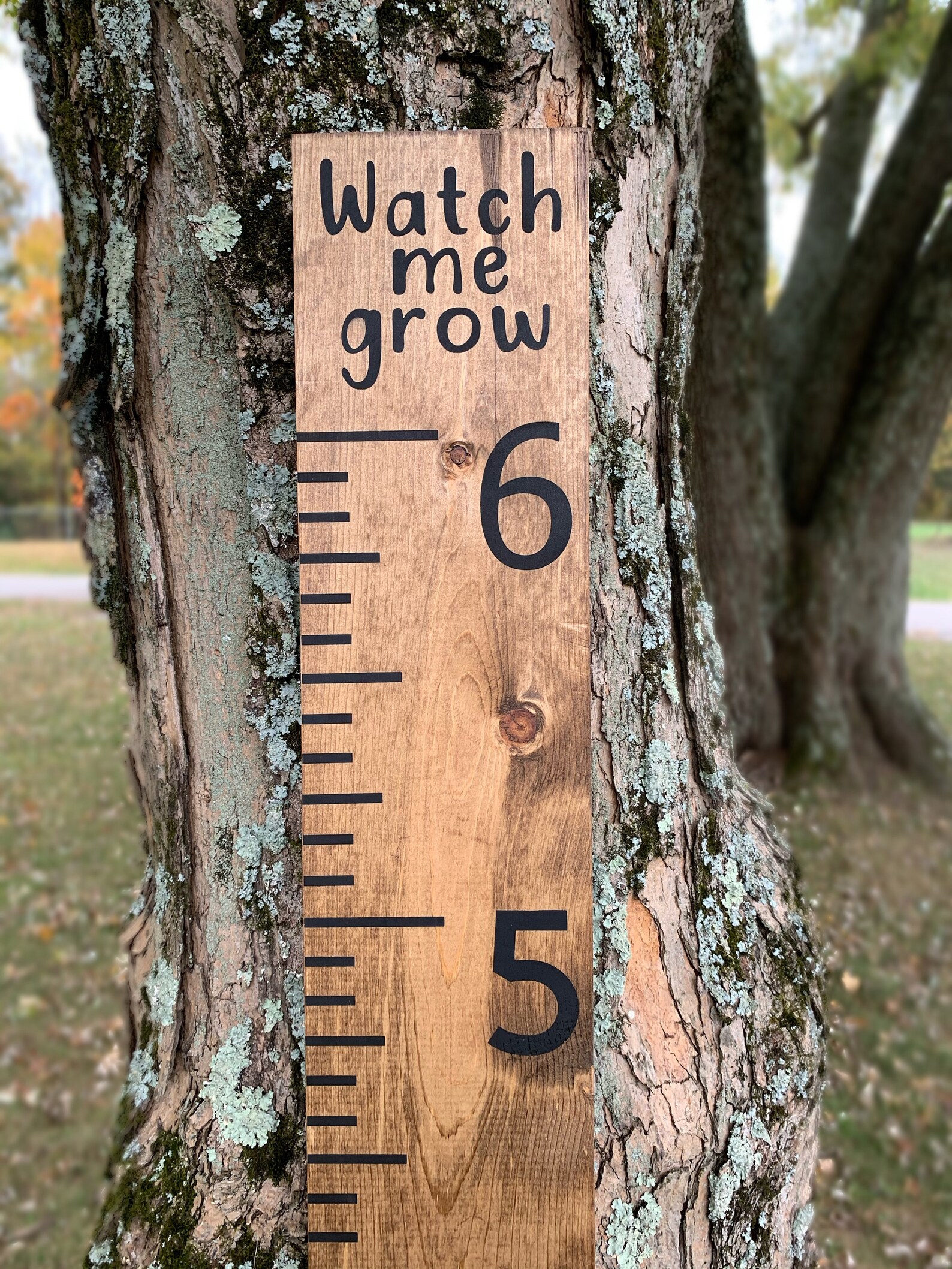 Wood Growth Chart Growth Chart Ruler Baby Shower Gift | Etsy