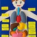 Felt Human Body Board Anatomy Materials Science Playmate Doctor Play ...