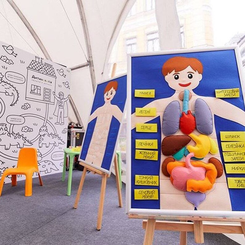 Human Felt Body Playmat Big Board Anatomy Materials Science | Etsy Canada