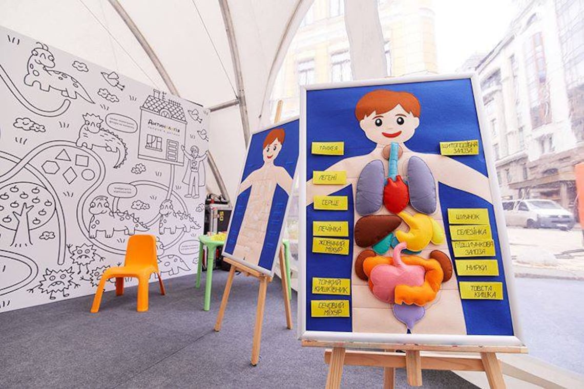 Felt Human Body Board Anatomy Materials Science Playmate - Etsy