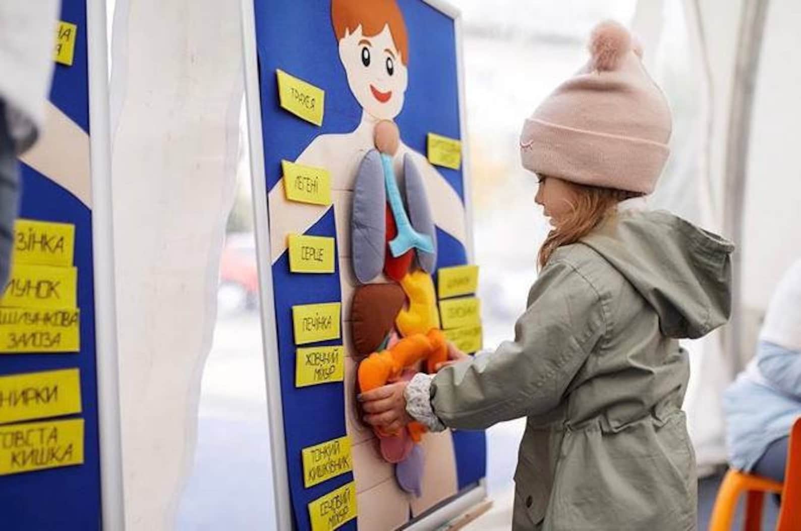 Felt Human Body Board Anatomy Materials Science Playmate - Etsy