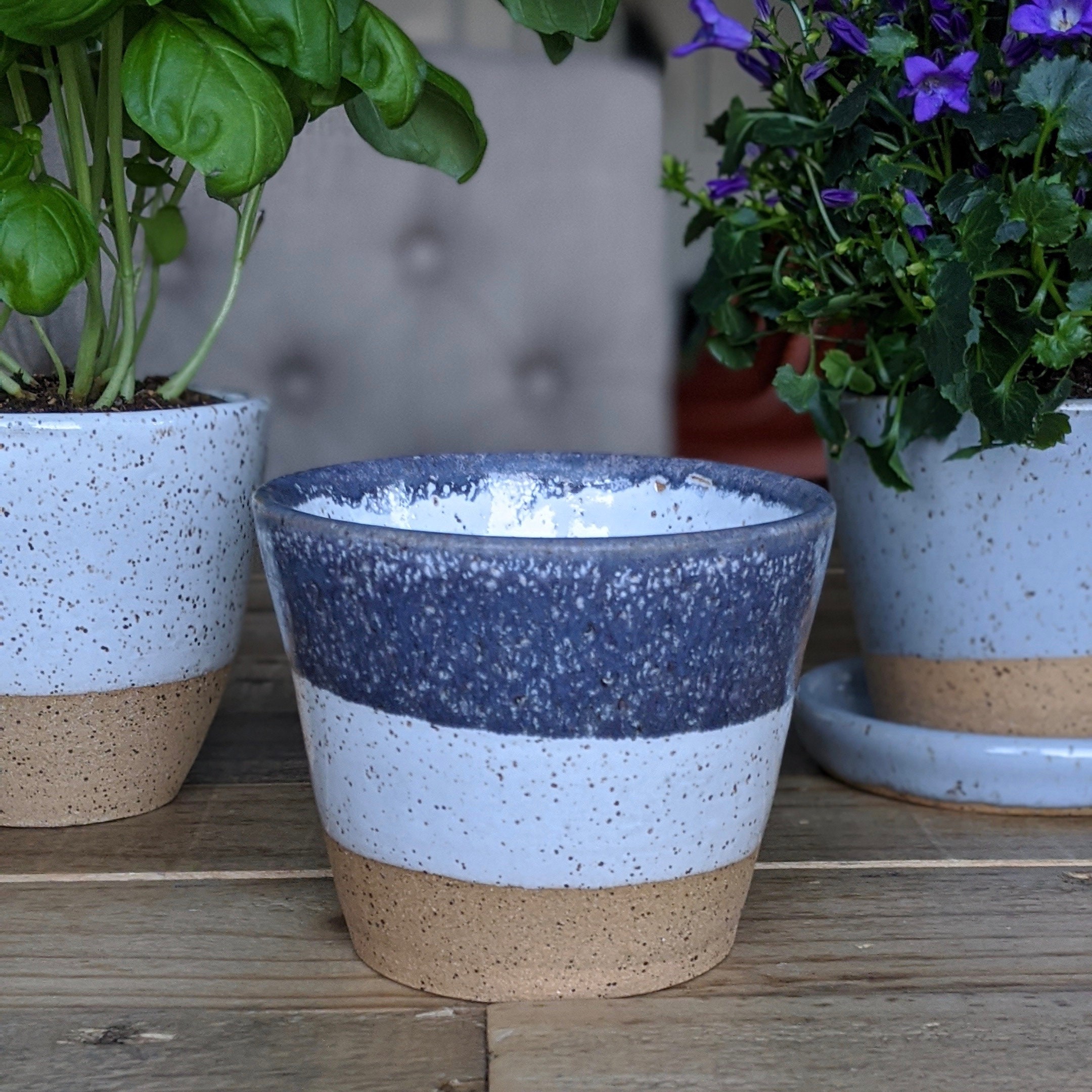 Two Toned Speckled Flower Pot - Etsy