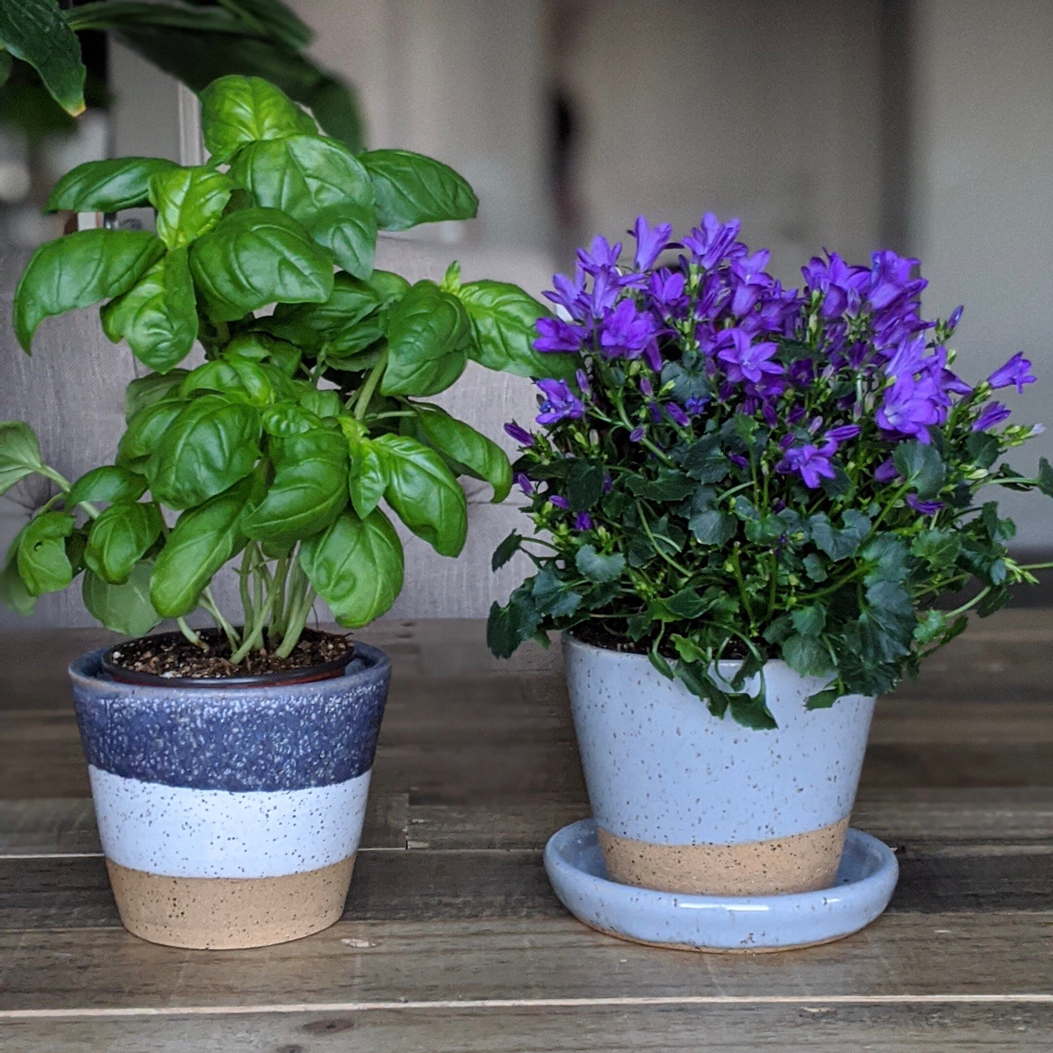 Two Toned Speckled Flower Pot - Etsy