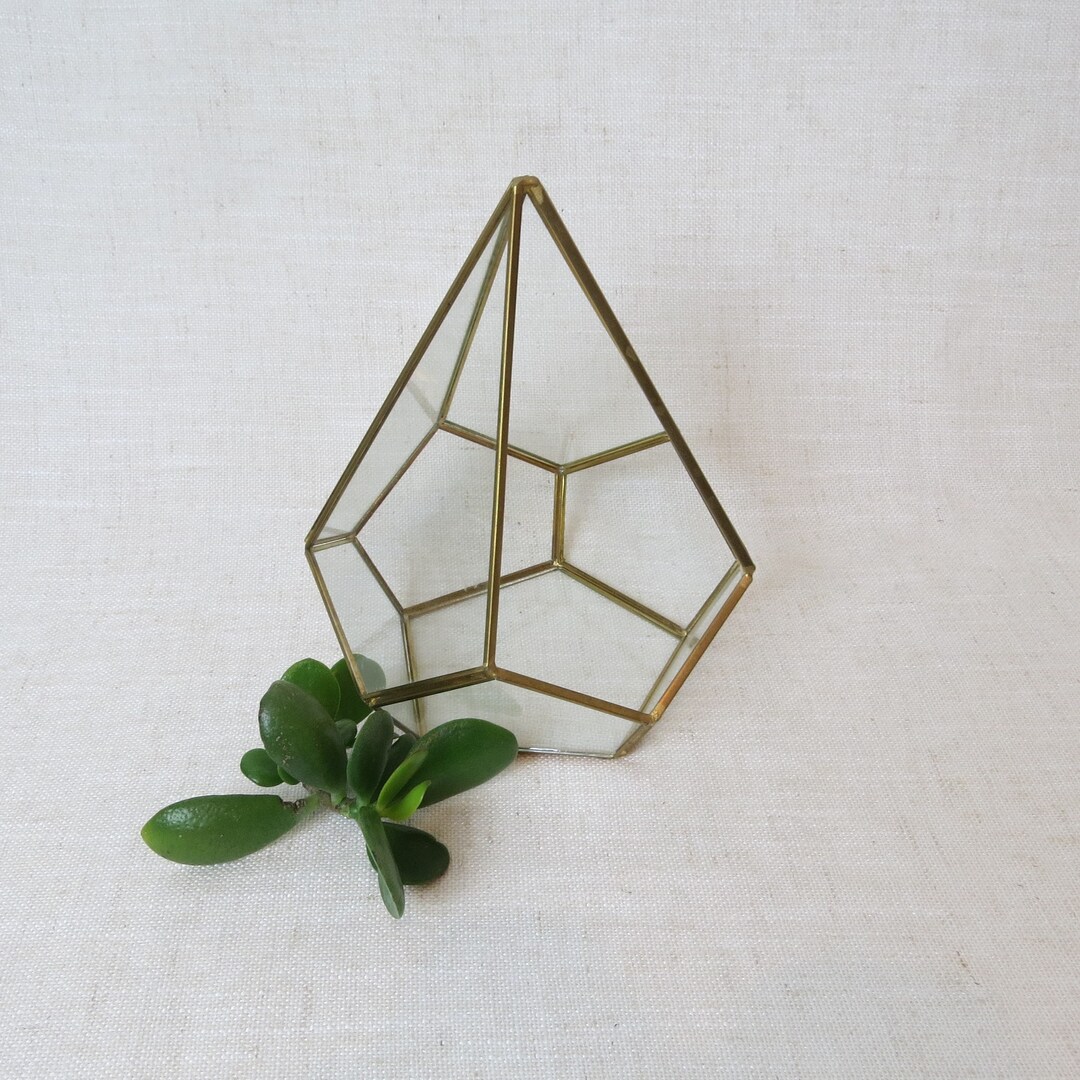 Beautiful Pyramid Diamond Shaped Glass and Brass Display Tabletop Plant ...