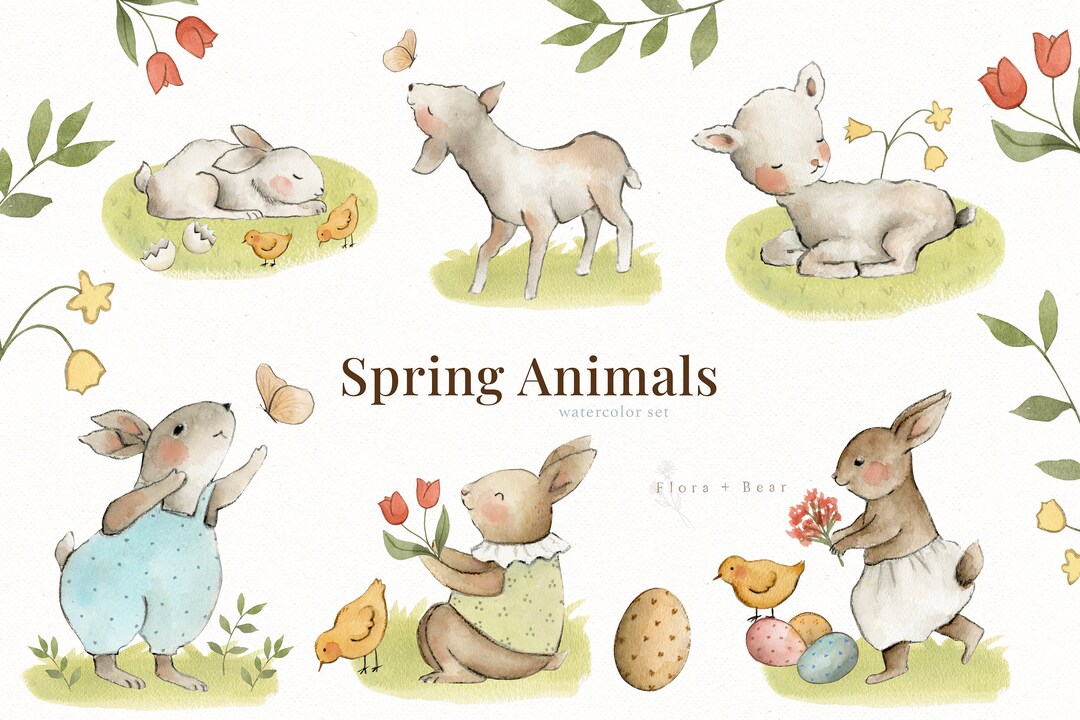 Spring Animals, Easter Bunny Watercolor Clipart - Etsy