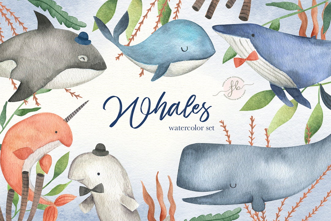 Whales Watercolor Clipart Sea Nautical Ocean Digital Download - Etsy