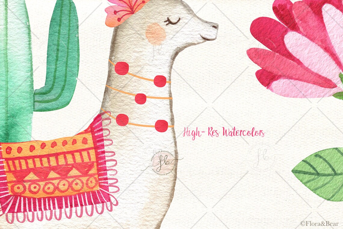 Llama Watercolor Clipart Alpaca Floral Digital Download Summer | Etsy
