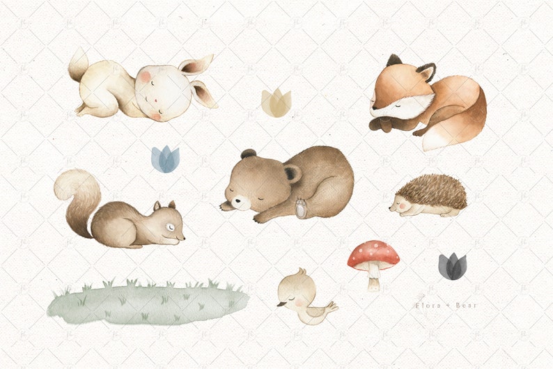 The Woodland Alphabet Watercolor Set - Etsy