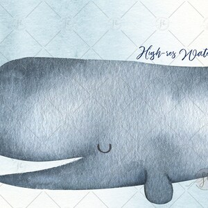 Whales Watercolor Clipart Sea Nautical Ocean Digital Download - Etsy