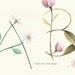 Botanical Alphabet Letters Clipart Set - Etsy