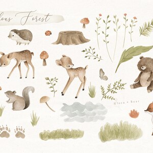 Woodland Animals Watercolor Clipart Set Forest - Etsy