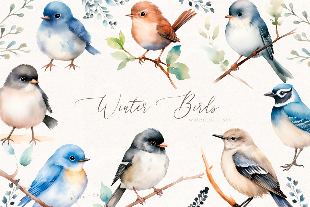 Winter Birds Watercolor Clipart Set - Etsy