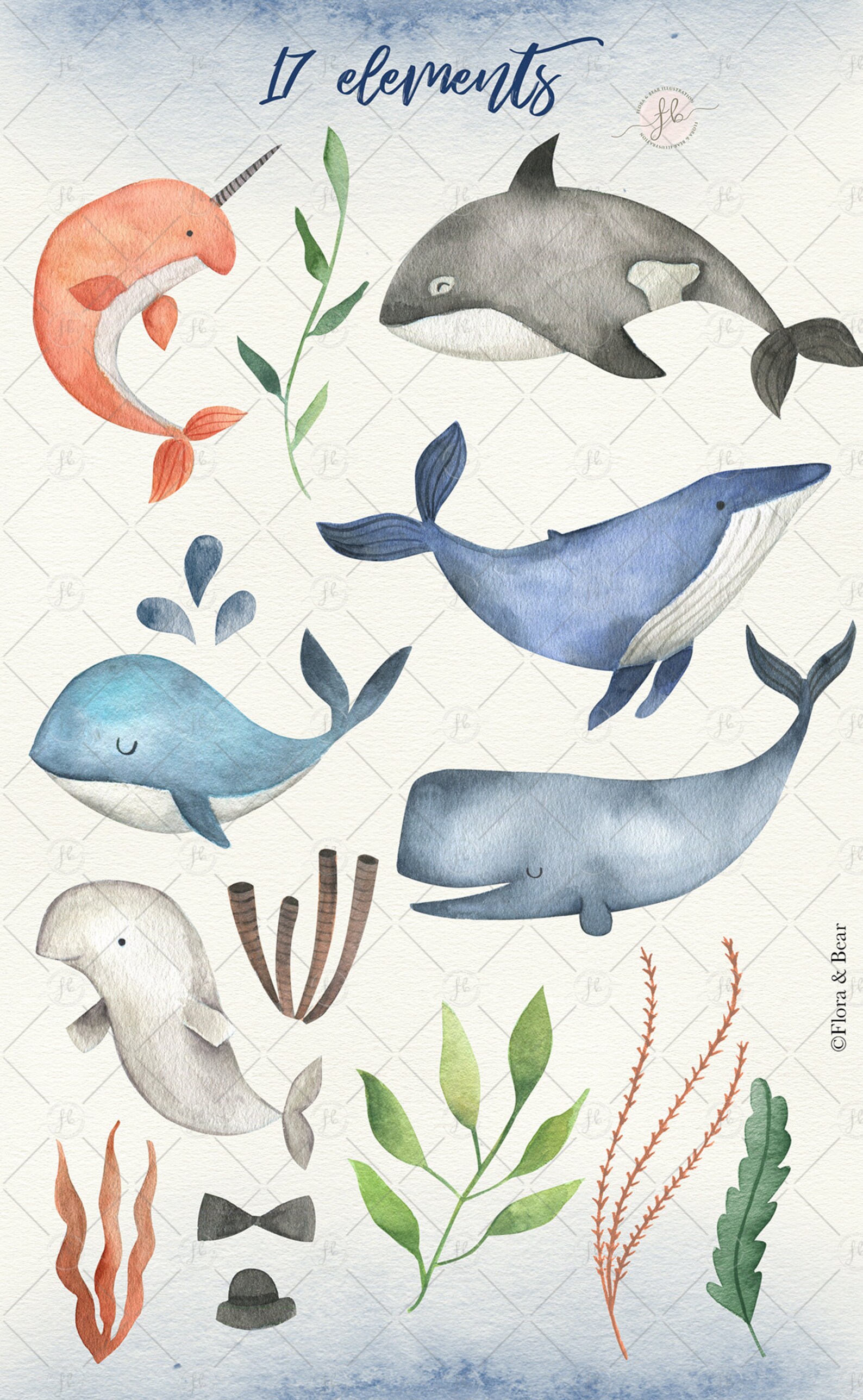 Whales Watercolor Clipart Sea Nautical Ocean Digital Download - Etsy