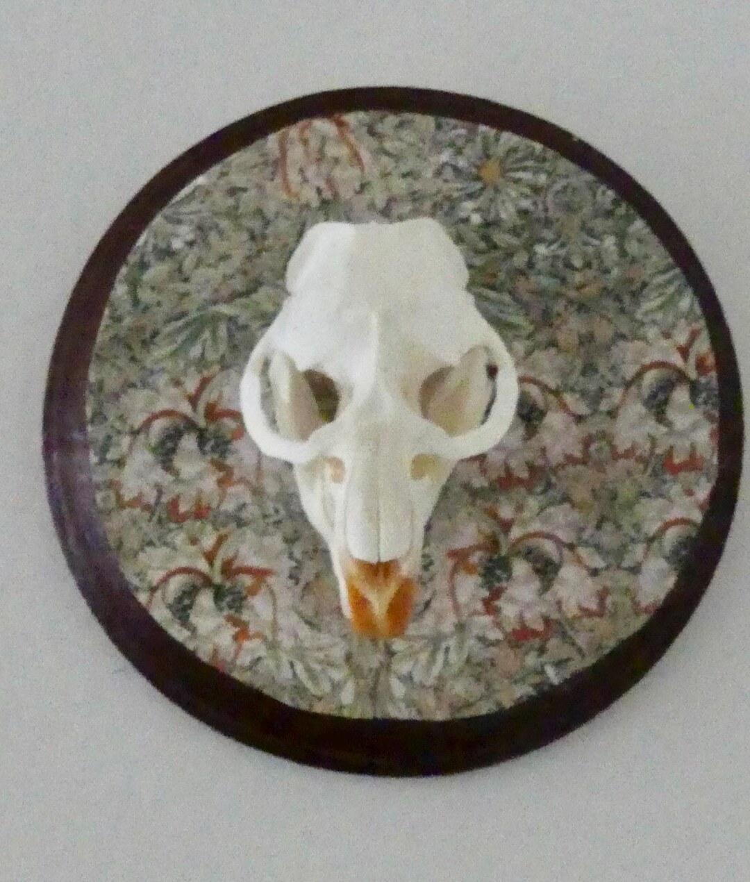 Muskrat Skull Botanic Art Plaque - Etsy
