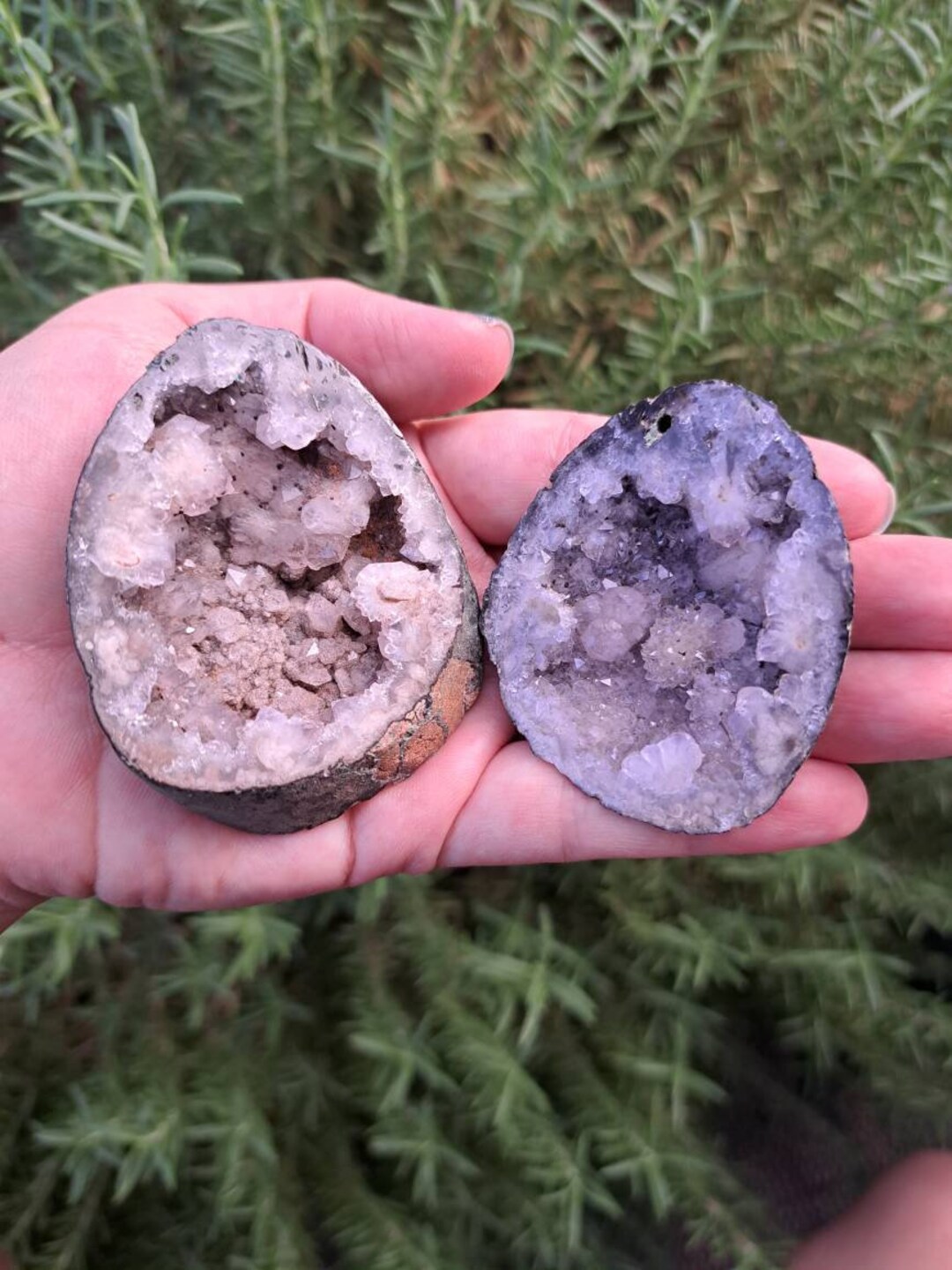 3.35 Oz. Geode Cut in Half. Geode Pair. Polished Geode With Amethyst ...