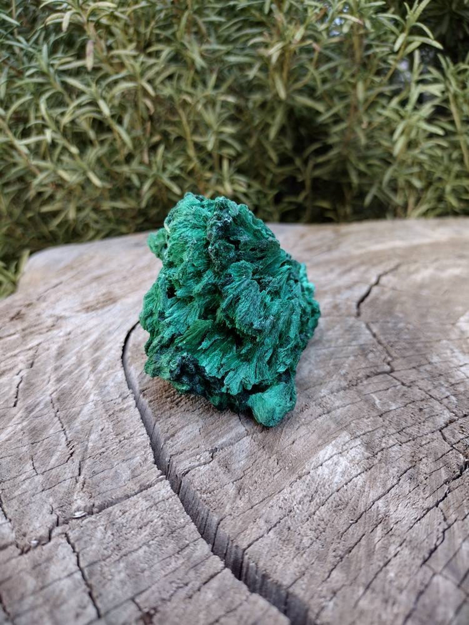 7.84 Oz Fibrous Malachite Crystal Cluster From the Congo. - Etsy