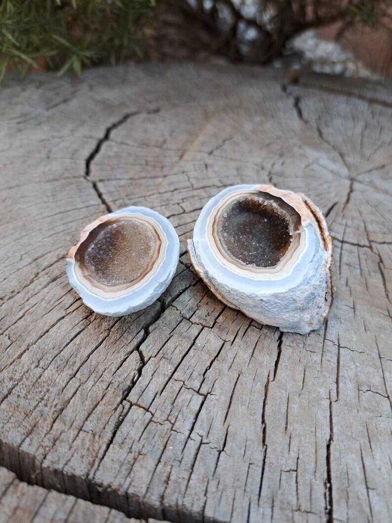 2.9 Oz. Geode Cut in Half. Geode Pair. Polished Geode With - Etsy