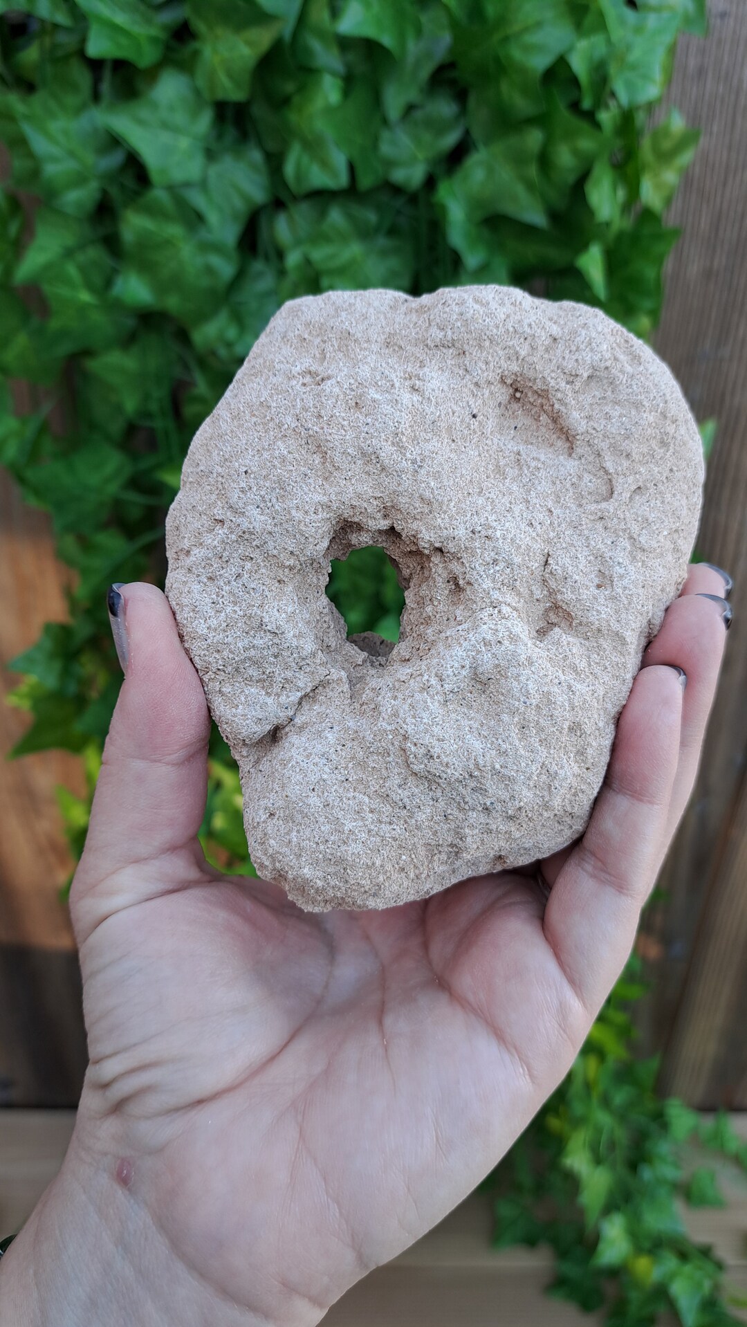 Large 1.06 Lb Desert Hagstone From Southern Arizona - Etsy