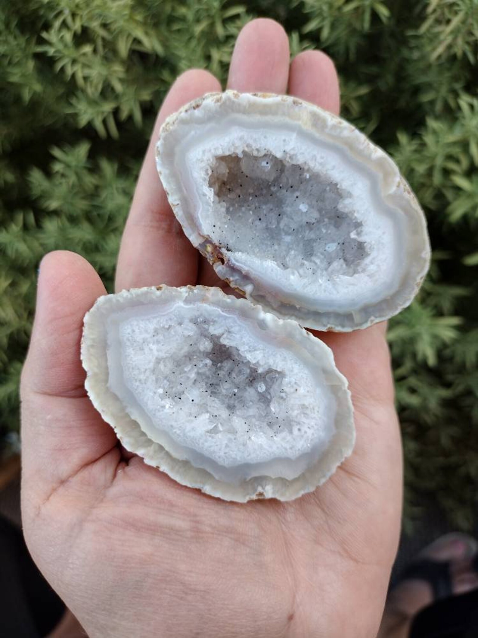 4.37 Oz. Geode Cut in Half. Geode Pair. Polished Geode With - Etsy