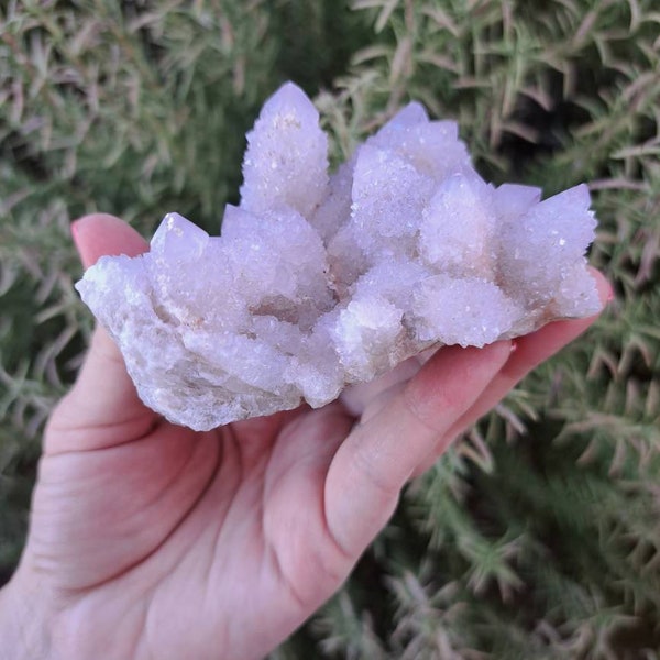 Cactus Quartz - Etsy