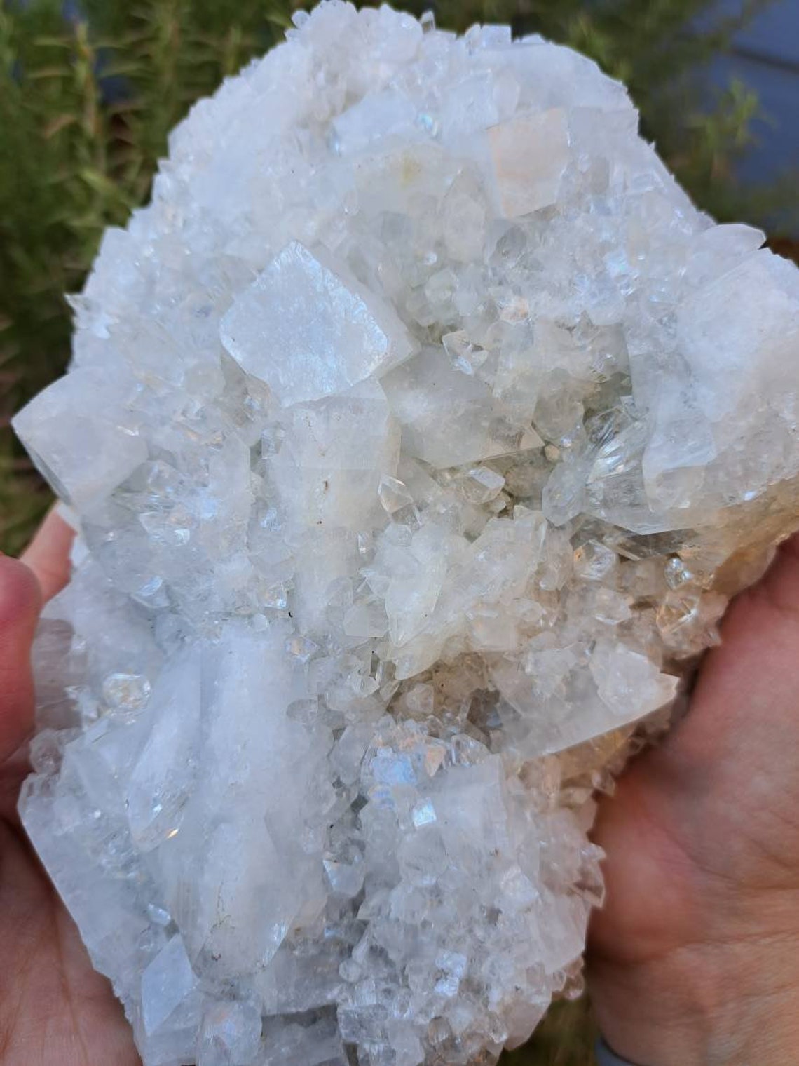 2.88 Lb Apophyllite Crystal Cluster. Apophyllite Cluster From - Etsy