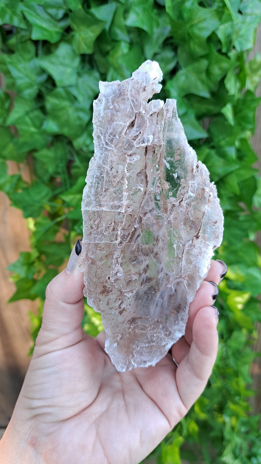 8.39 Oz. Natural Selenite Crystal Slab Self Collected in Southern ...
