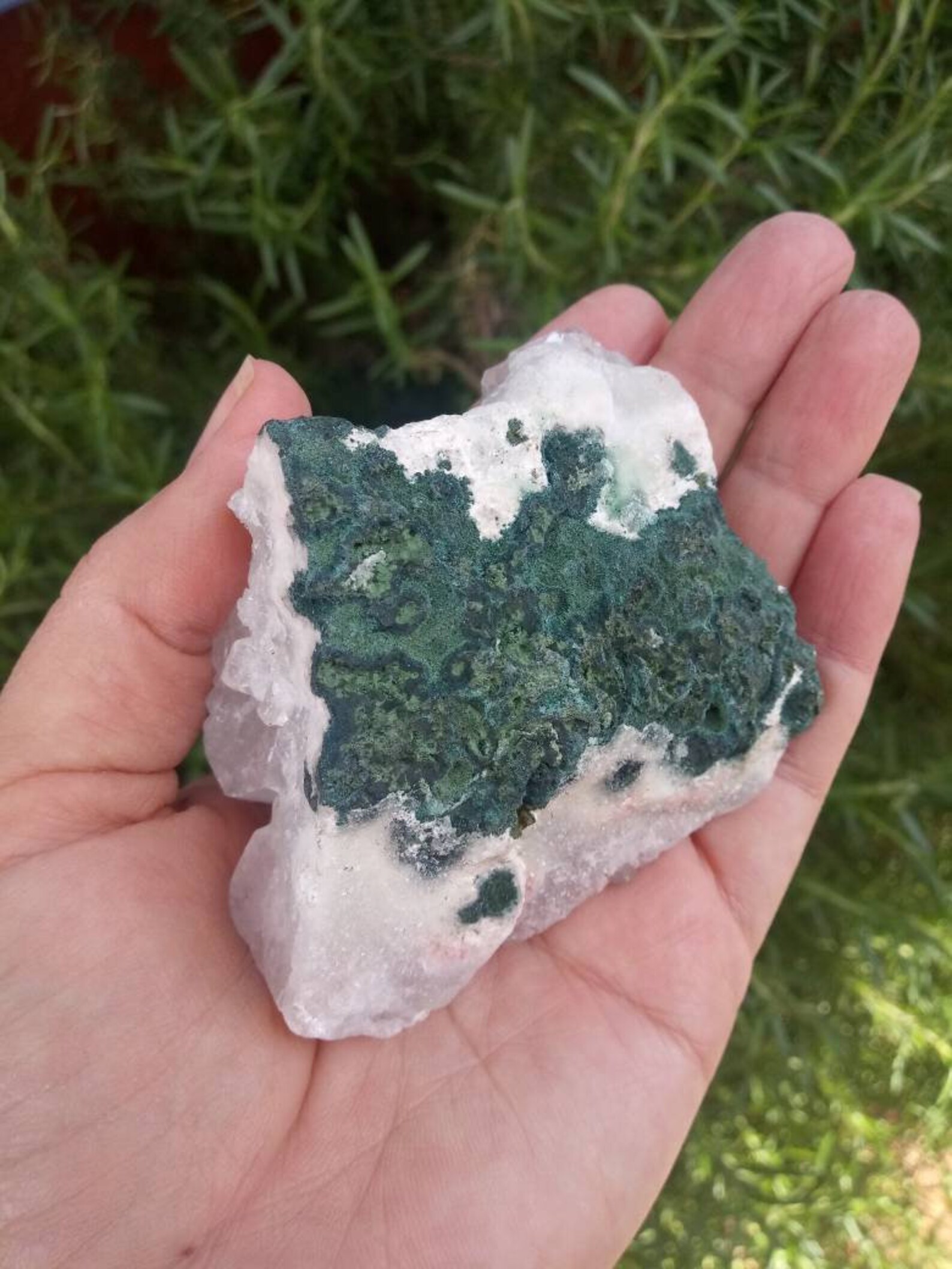 5 Oz Apophyllite Crystal Cluster Zeolite Specimen From Jalgaon - Etsy