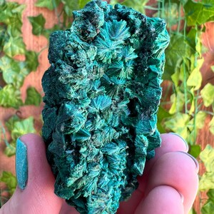5.43 Oz. Fibrous Malachite Crystal Cluster From the Congo. You Get This ...