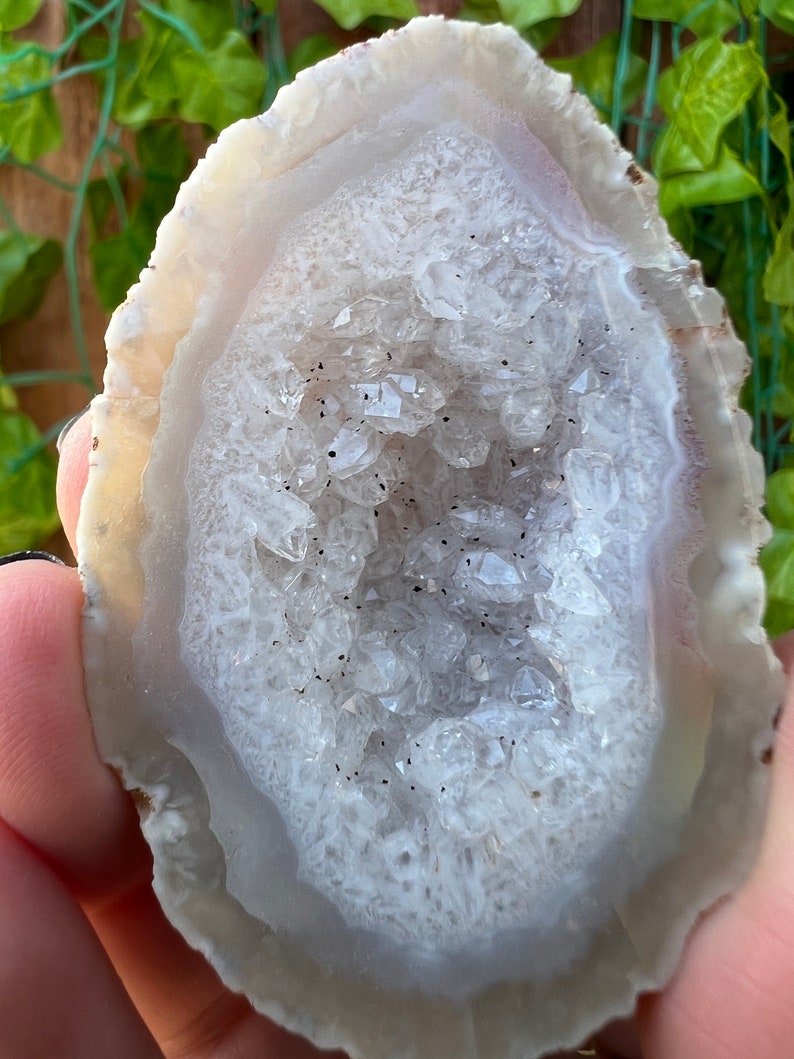 4.37 Oz. Geode Cut in Half. Geode Pair. Polished Geode With Quartz ...