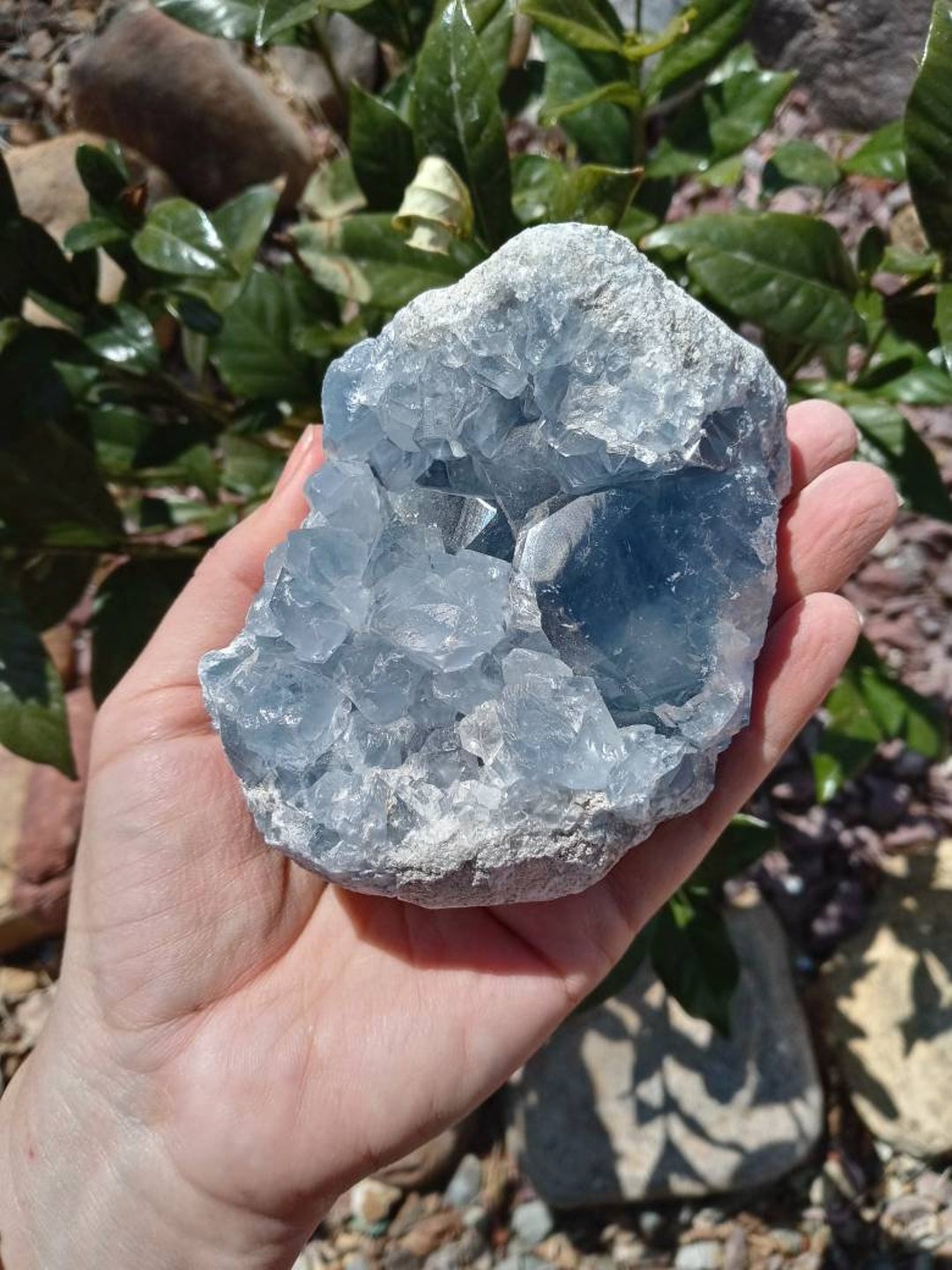 1.91 Lb Large Blue Celestite Geode Crystal Specimen. - Etsy