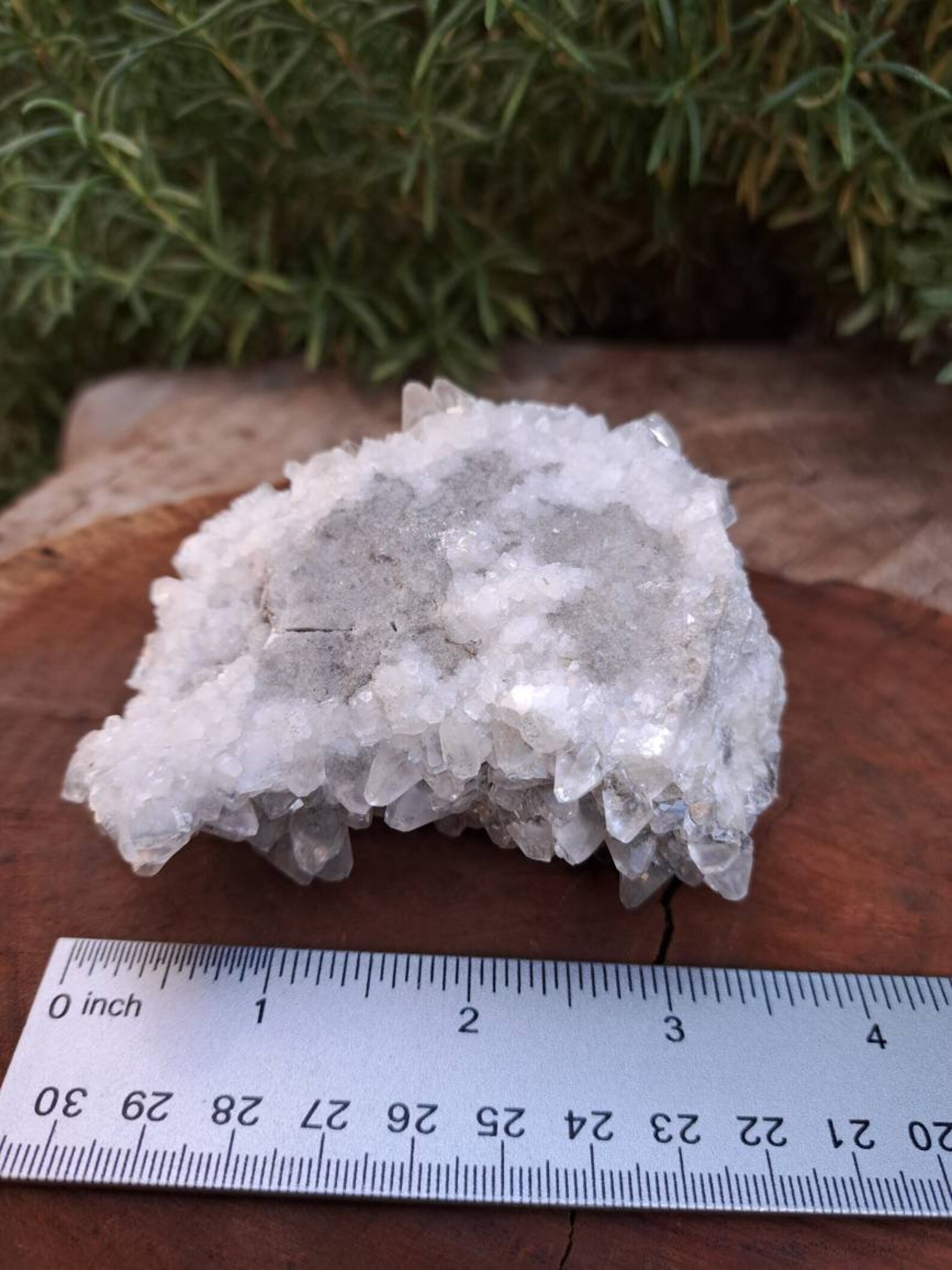 12.7 Oz Dog Tooth Calcite Cluster From Linwood Mine in Buffalo - Etsy