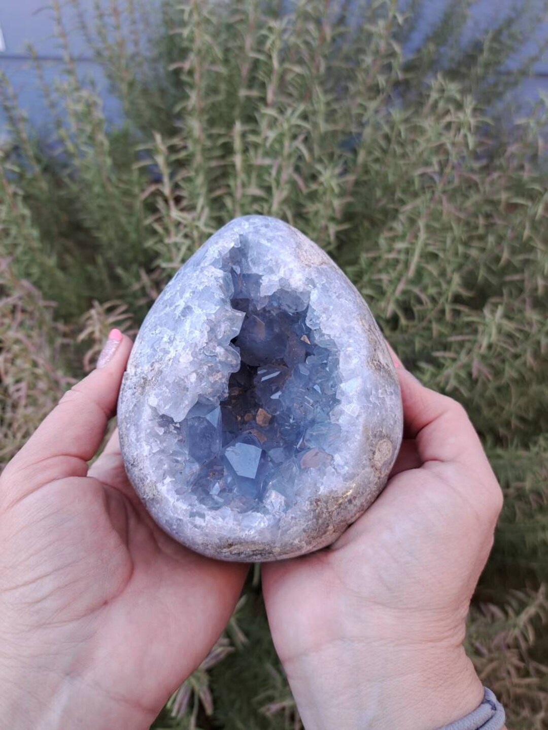 3.75 Large Blue Celestite Egg Geode. Polished Geode Crystal - Etsy
