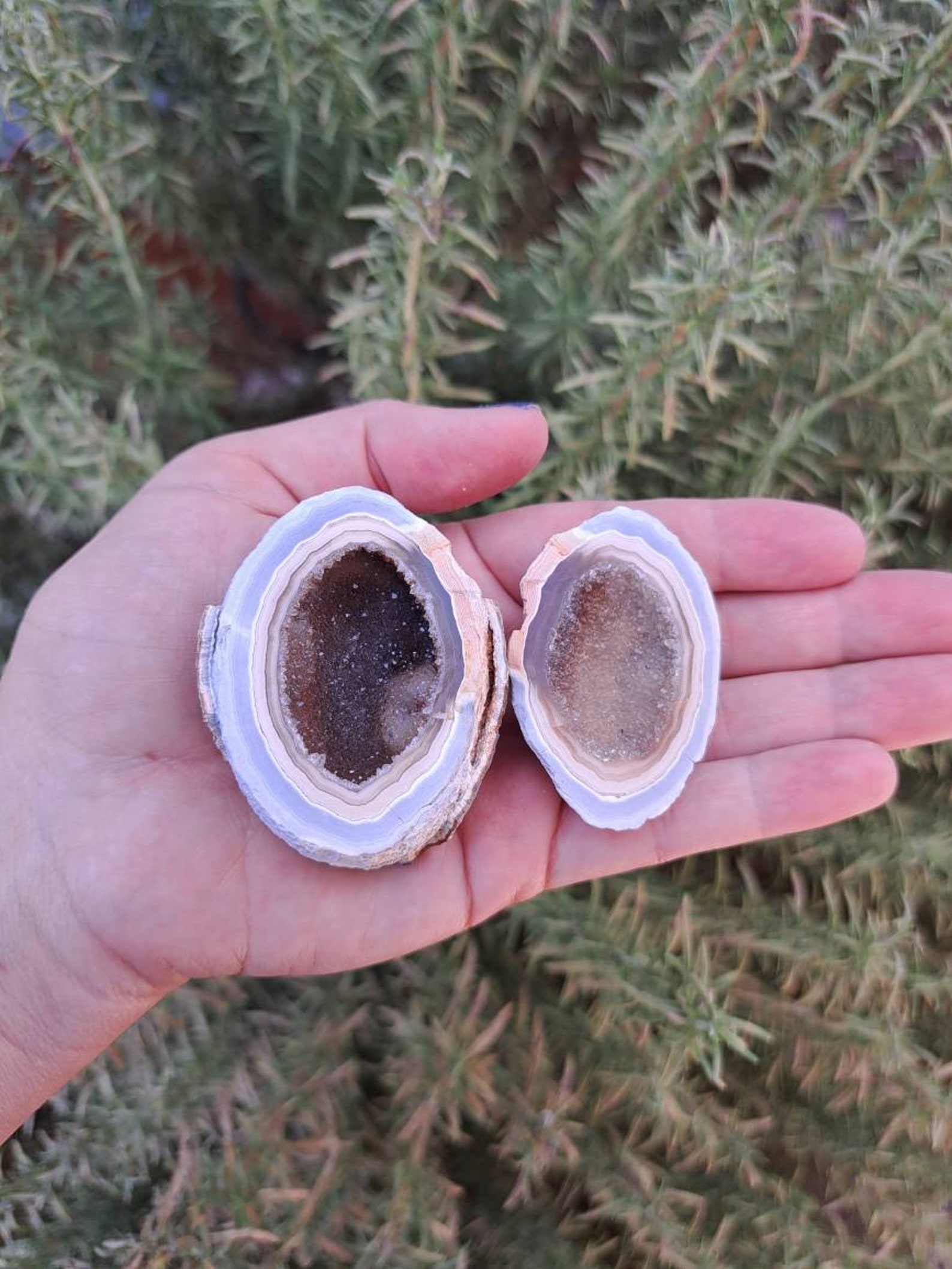 2.9 Oz. Geode Cut in Half. Geode Pair. Polished Geode With - Etsy