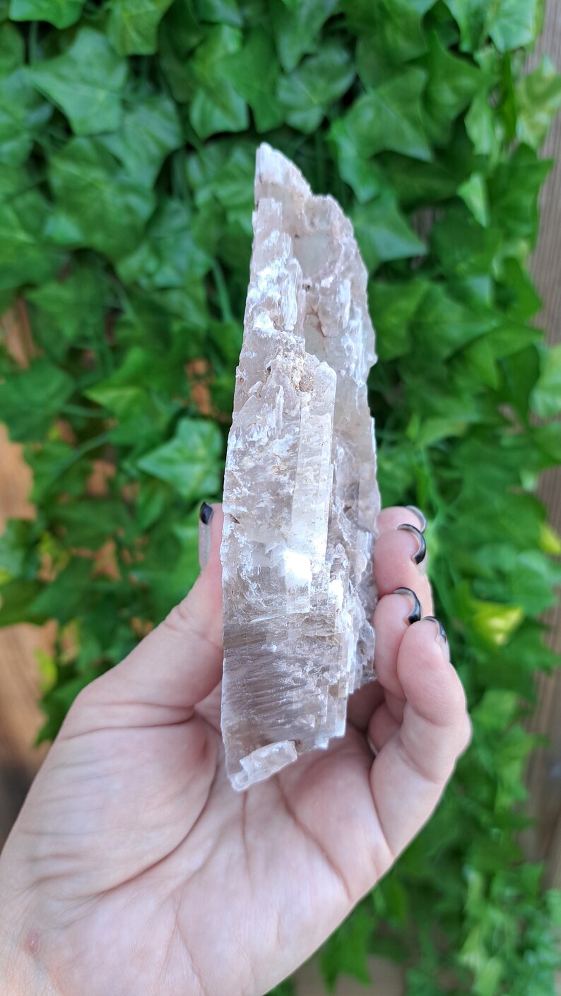 8.39 Oz. Natural Selenite Crystal Slab Self Collected in Southern ...