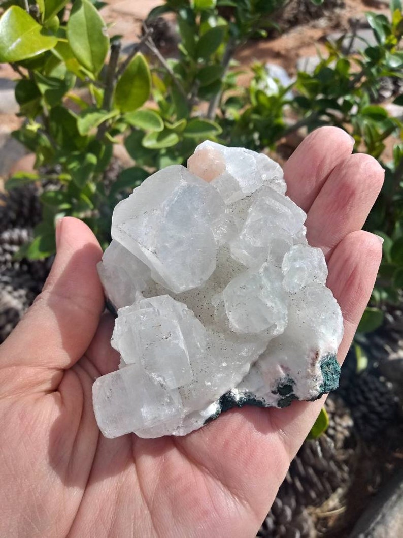 5 Oz Apophyllite Crystal Cluster Zeolite Specimen From Jalgaon - Etsy