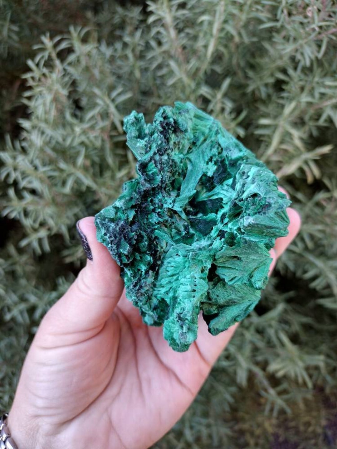 13.4 Oz Fibrous Malachite Crystal Cluster From the Congo. - Etsy