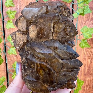 1.53 Lb. Large Smoky Elestial Quartz Crystal. Double Terminated ...
