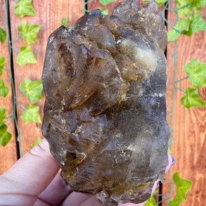 1.53 Lb. Large Smoky Elestial Quartz Crystal. Double Terminated ...