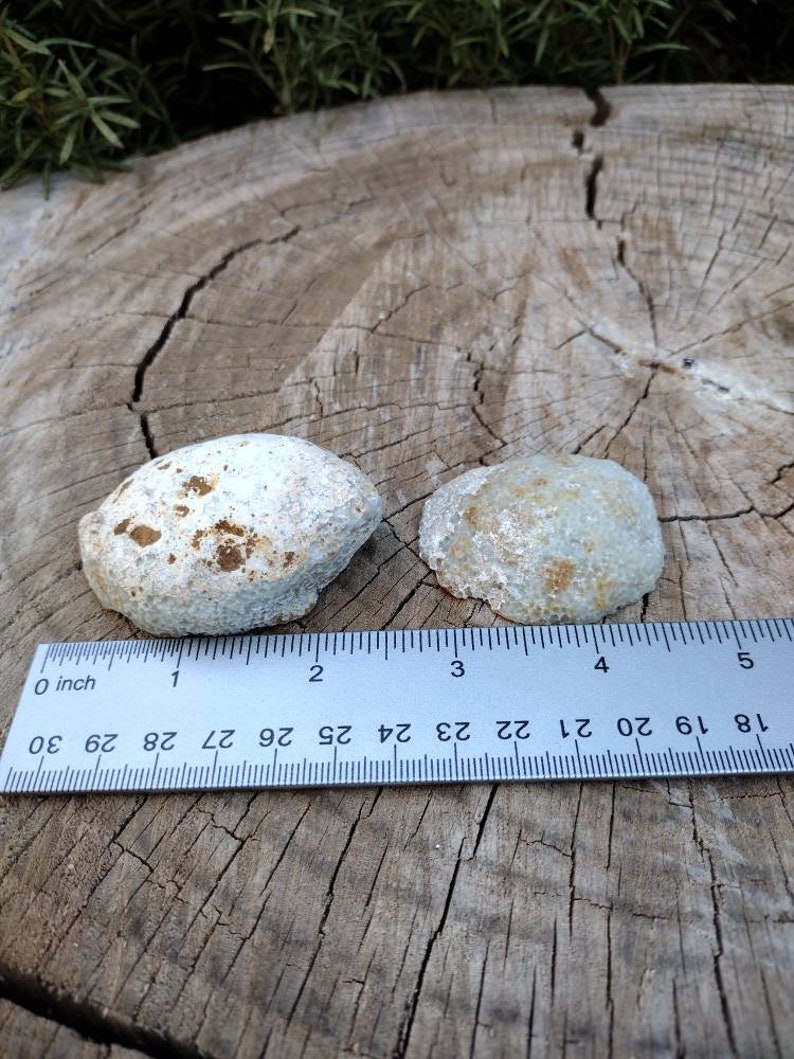 3.96 Oz. Geode Cut in Half. Geode Pair. Polished Geode With | Etsy
