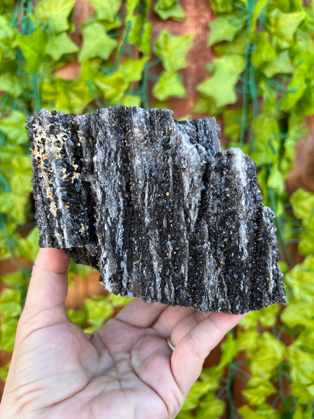 1.84 Lb. Crystallized Petrified Wood With Druzy Smoky Quartz Points From Arizona. You Get This ...