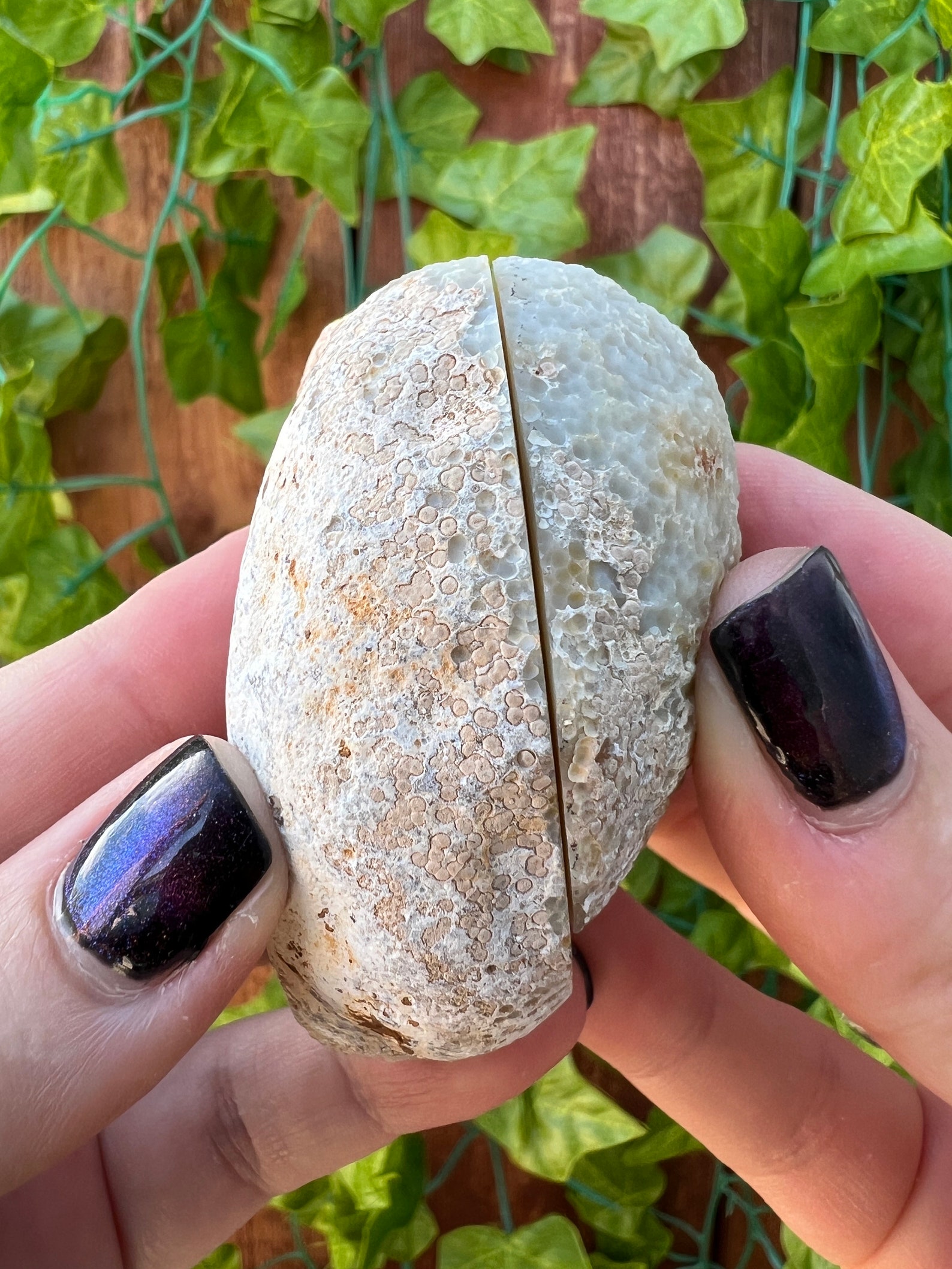 3.96 Oz. Geode Cut in Half. Geode Pair. Polished Geode With Quartz ...