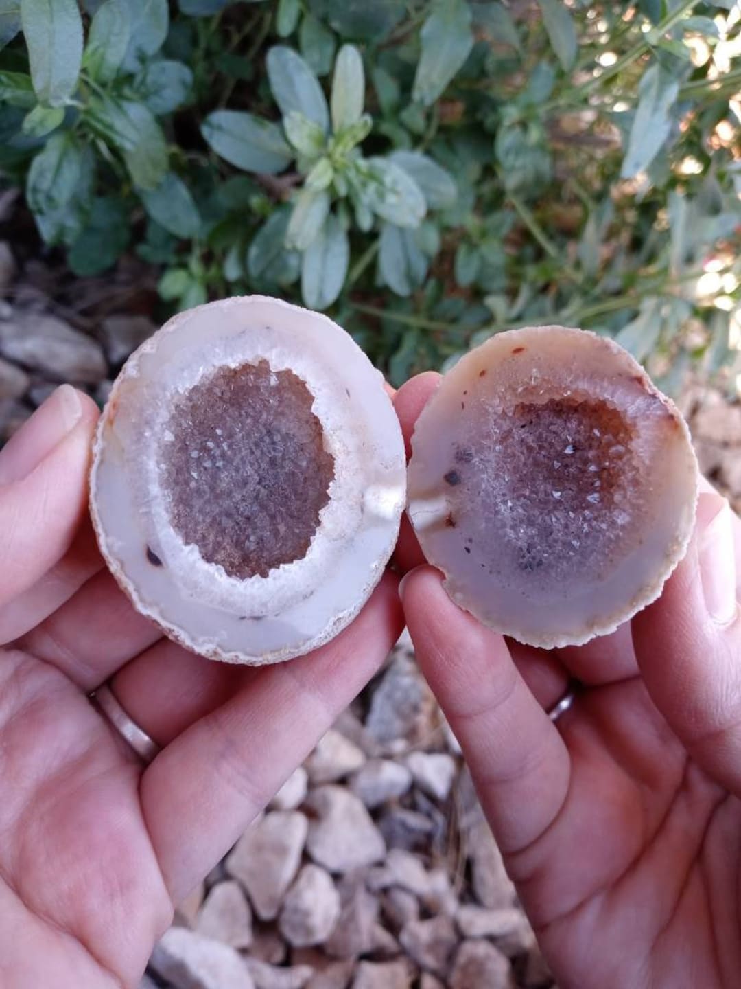 2.63 Oz. Geode Cut in Half. Geode Pair. Polished Geode With Quartz ...