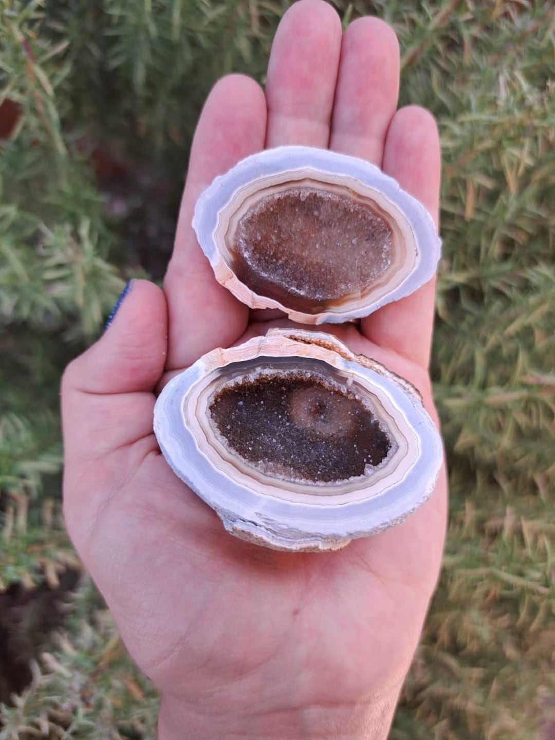 2.9 Oz. Geode Cut in Half. Geode Pair. Polished Geode With - Etsy