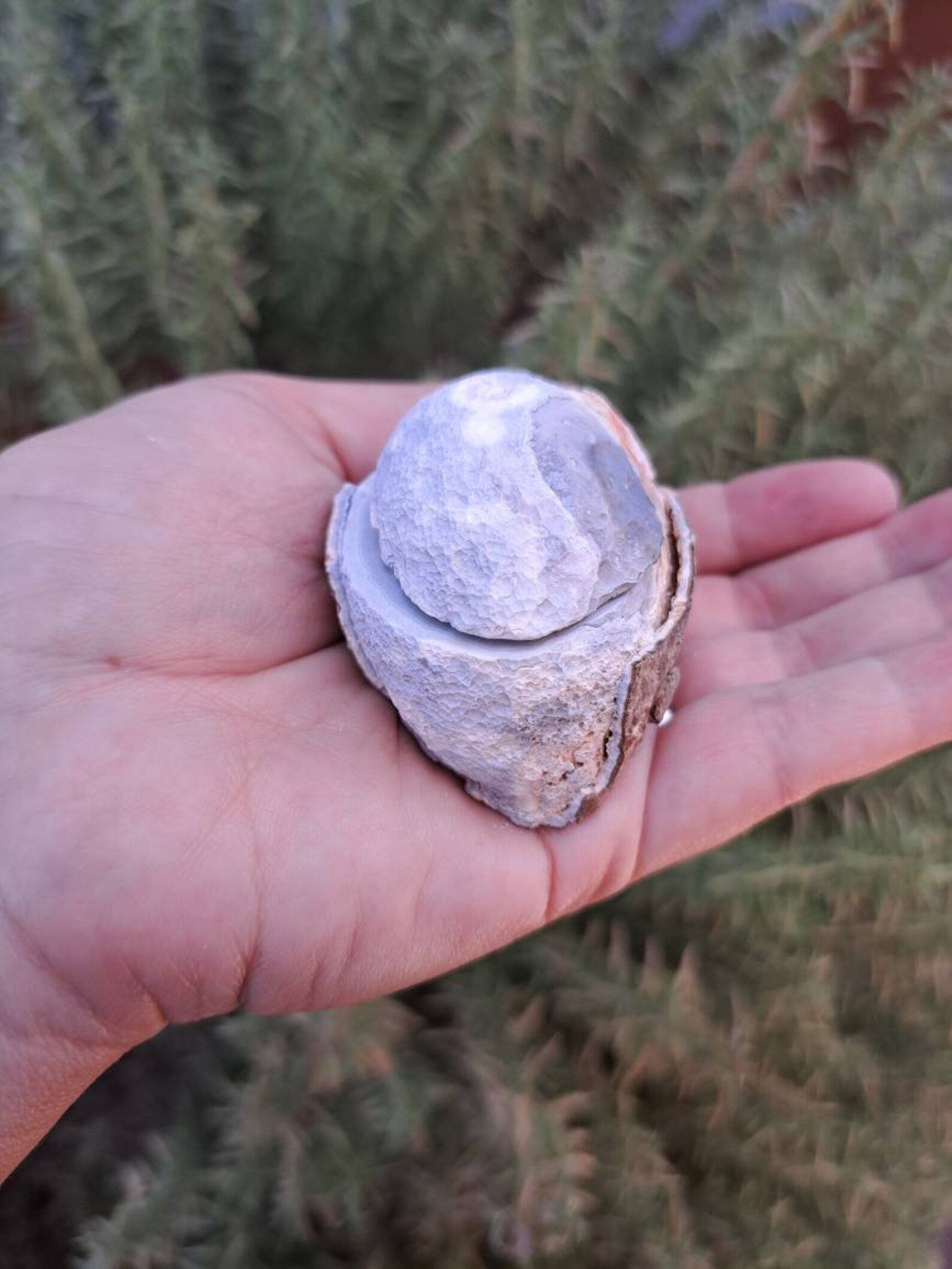 2.9 Oz. Geode Cut in Half. Geode Pair. Polished Geode With - Etsy